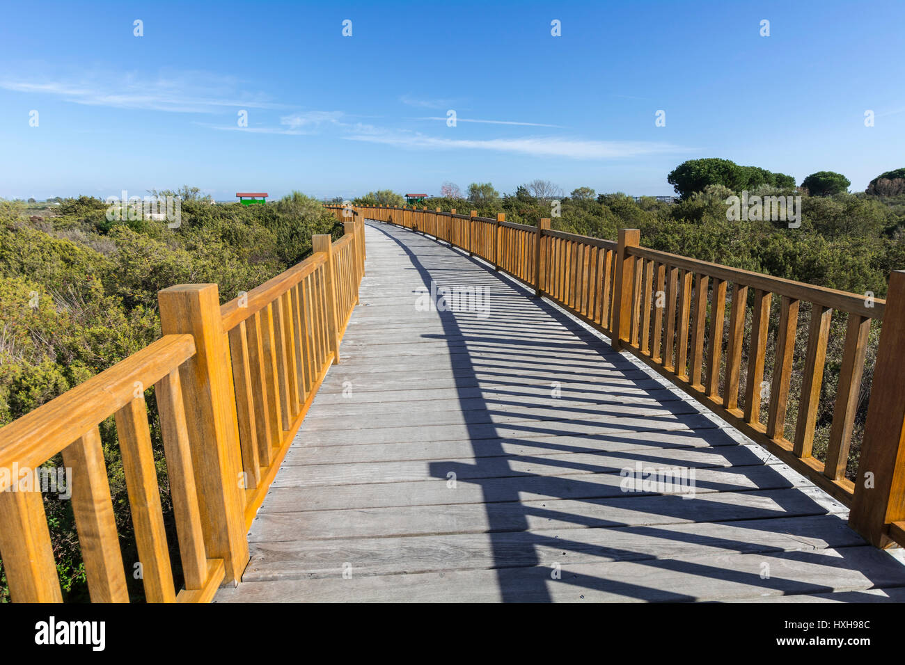 Wooden path in natural surroundings, protecting the environment Stock ...