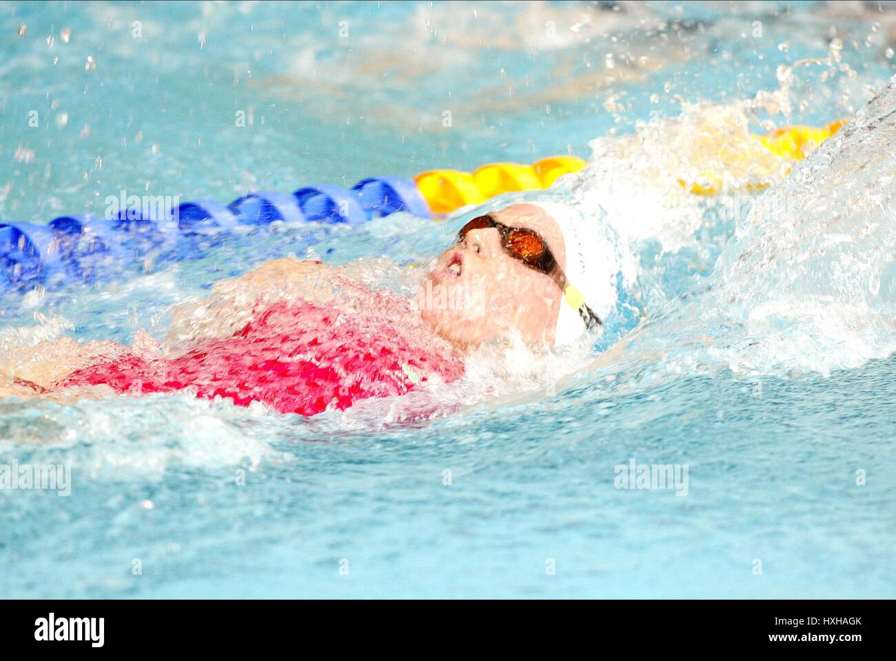 Holly fox hi-res stock photography and images - Alamy