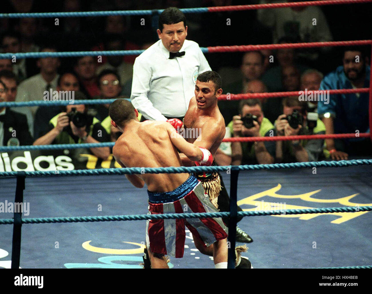 Alicea hi-res stock photography and images - Alamy