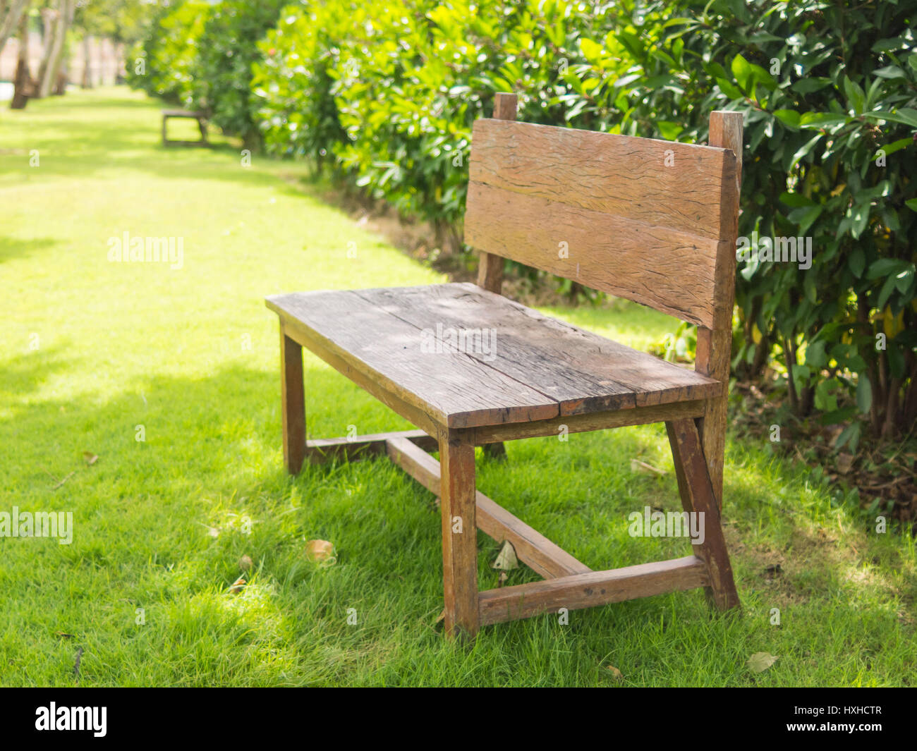 Close up wooden bench in the park ,soft focus Stock Photo - Alamy