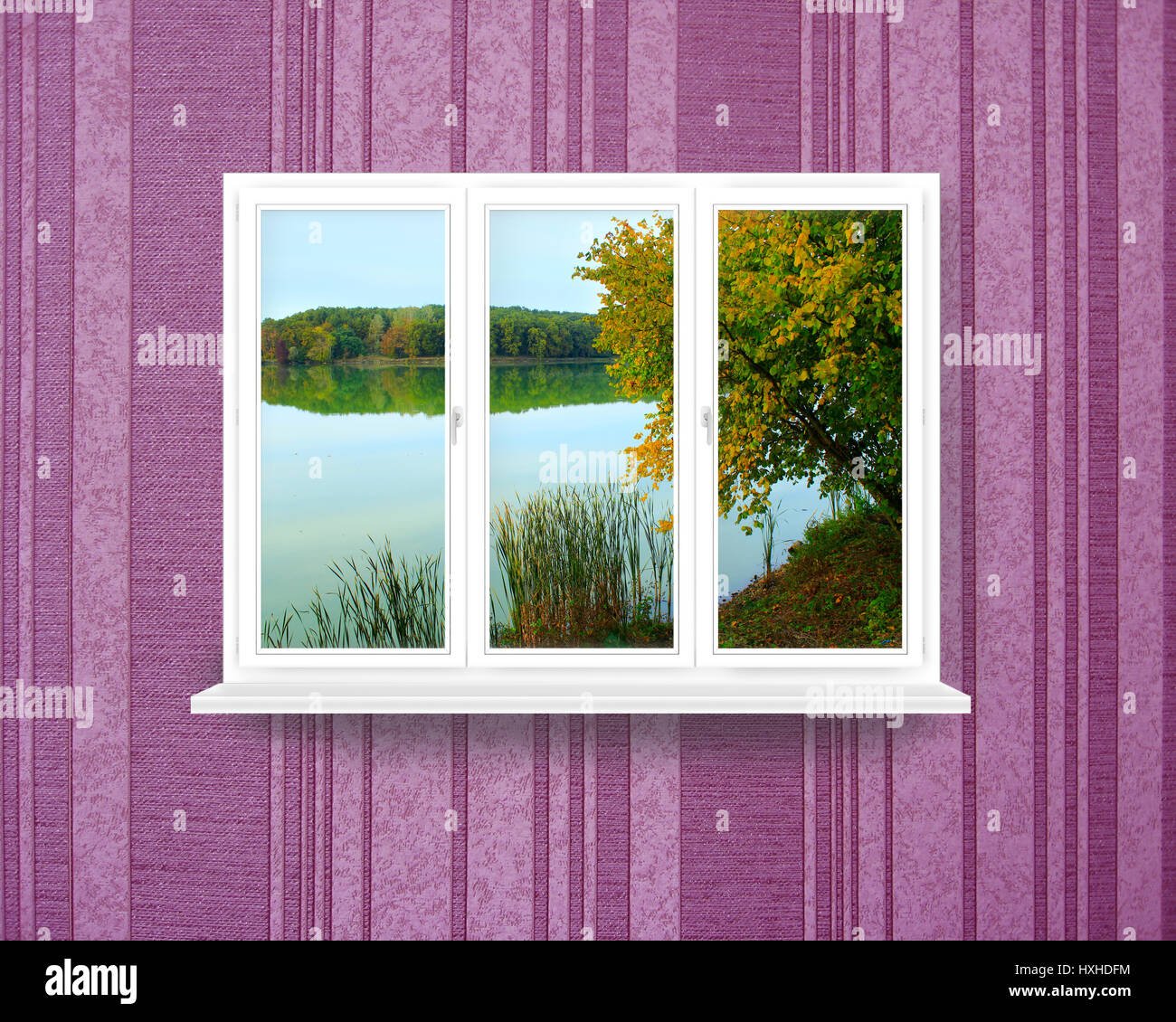 Interior view of pine forest hi-res stock photography and images - Alamy