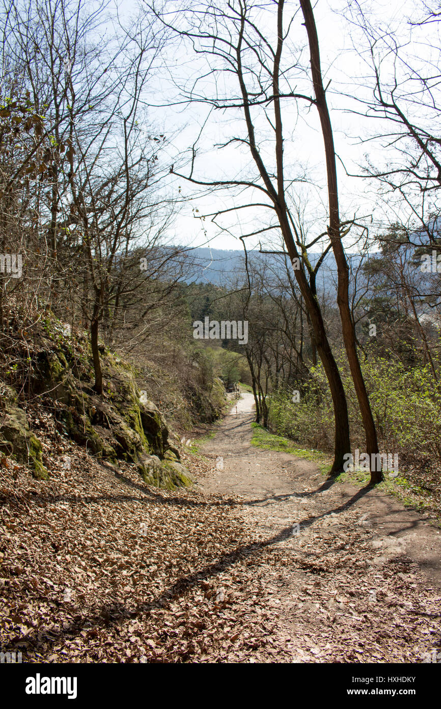 Finishing a hiking trip on a nice sunny day Stock Photo - Alamy