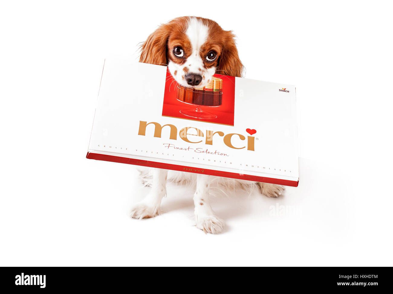 Merci Cut Out Stock Images & Pictures - Alamy