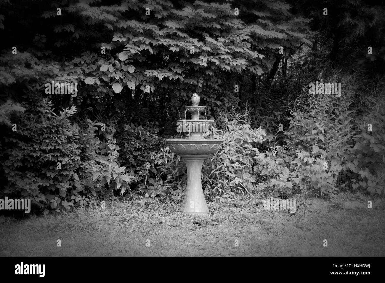 Water with basin hi-res stock photography and images - Alamy