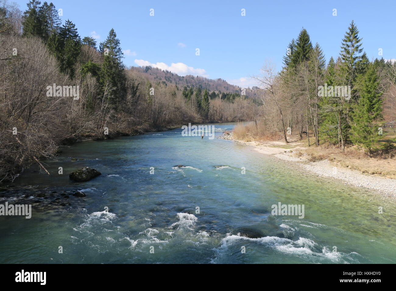 The Sava river in Upper Carniola in town Radovljica slowly runs ...