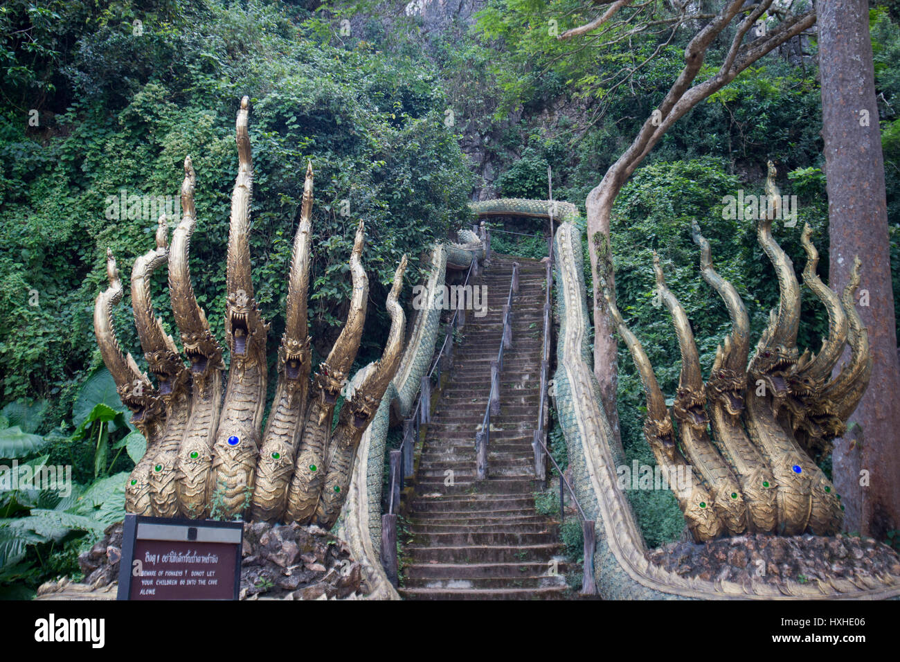 the wat tham pla or monkey cave temple near the town of Mae Sai in ...