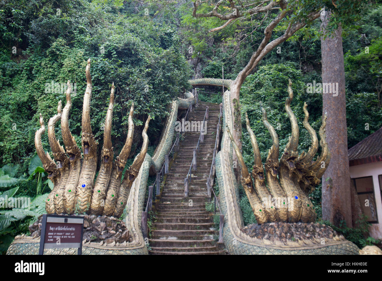 the wat tham pla or monkey cave temple near the town of Mae Sai in ...