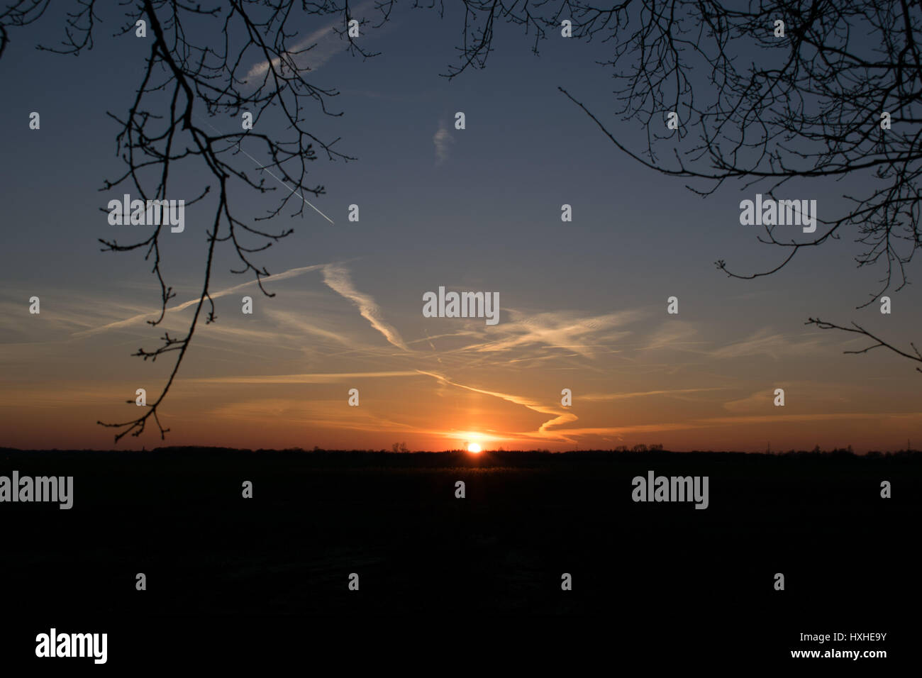 Friesland leaves hi-res stock photography and images - Alamy