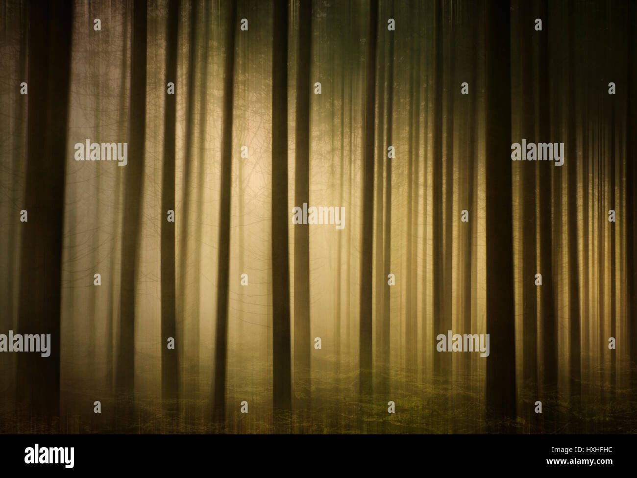 Artistic abstract and impressionist photography hi-res stock ...