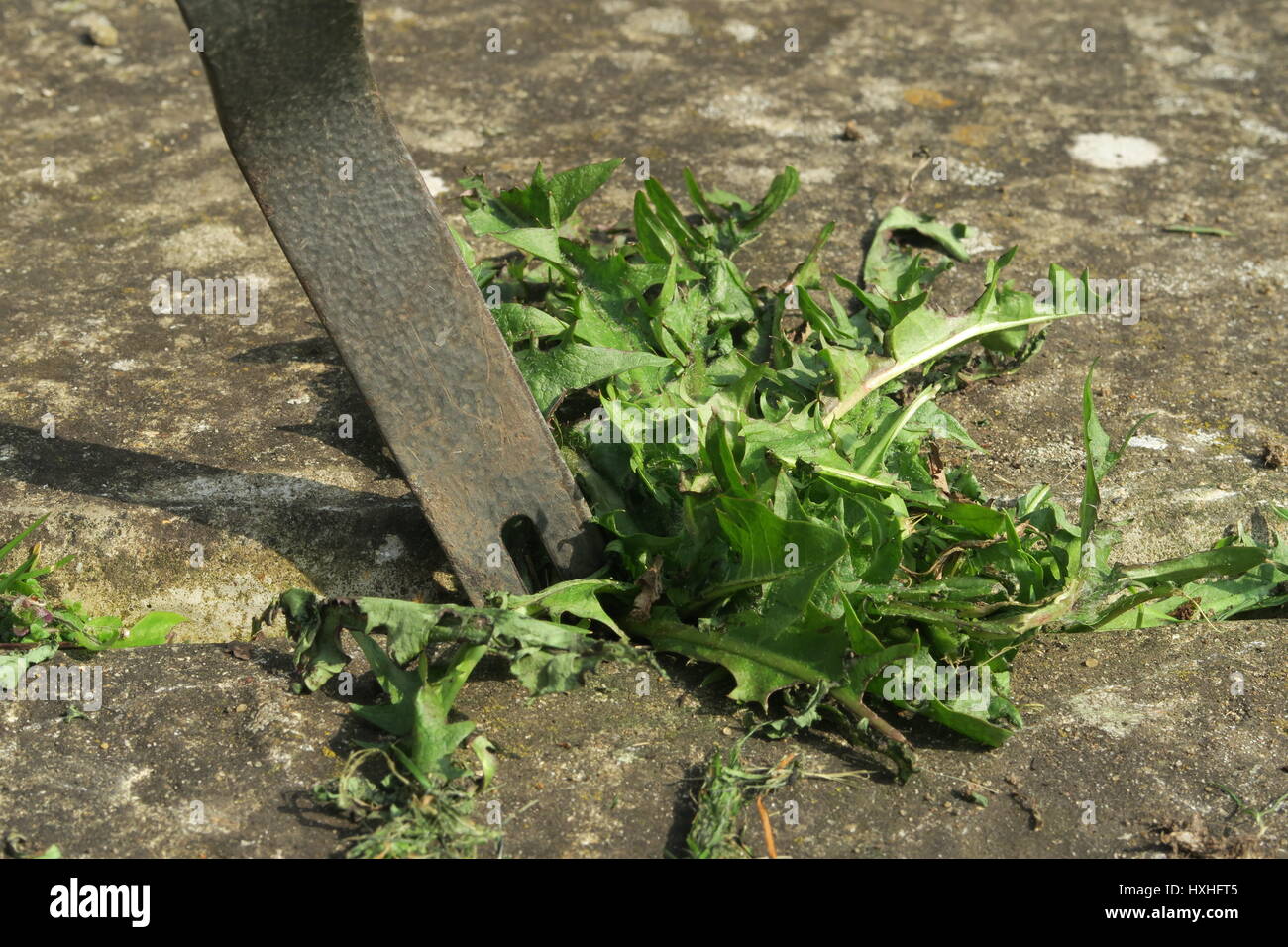 Two pronged approach hi-res stock photography and images - Alamy