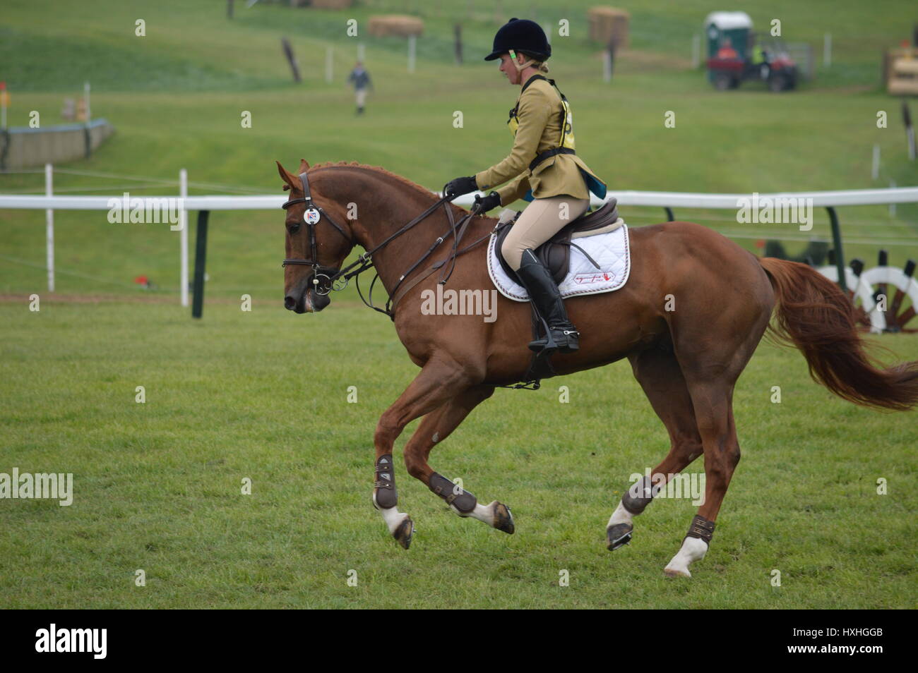 Arena eventing horse hi-res stock photography and images - Alamy