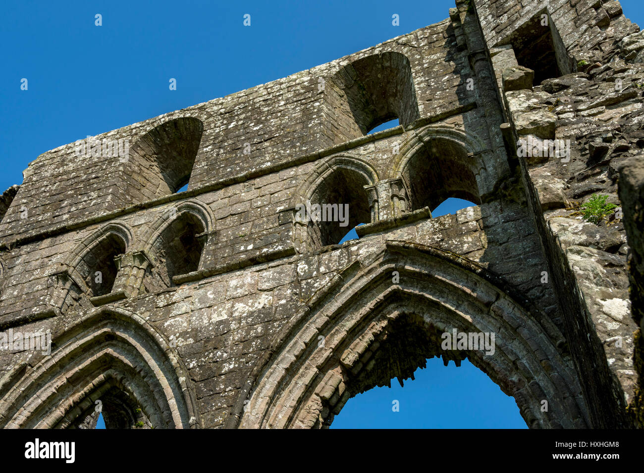 Dundrennan Abbey, Dumfries and Galloway, Scotland, UK Stock Photo - Alamy