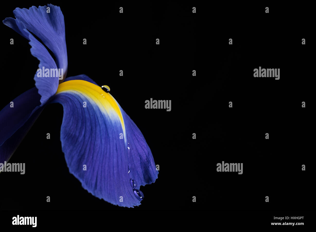 Feeling blue hi-res stock photography and images - Alamy