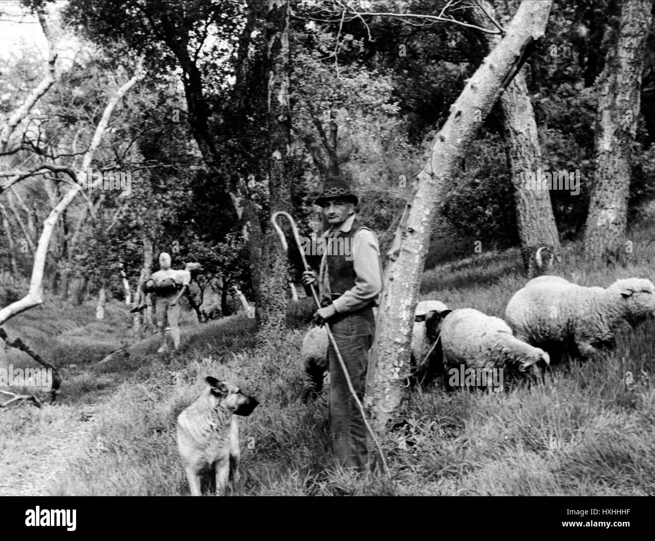 Curse Of The Faceless Man High Resolution Stock Photography and Images ...
