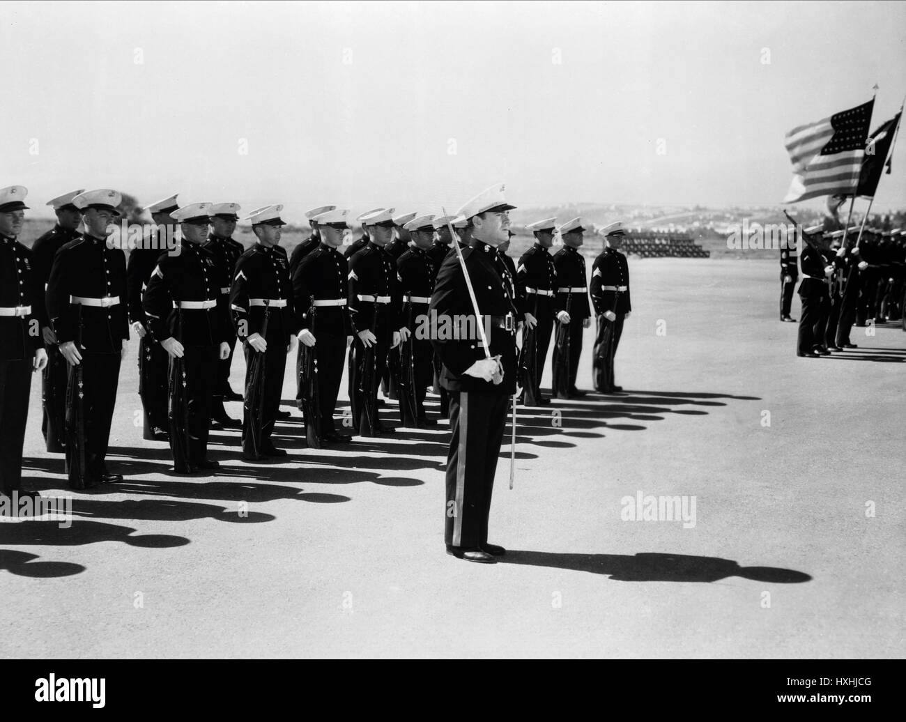 How Did The Us Marines Get The Name Devil Dogs