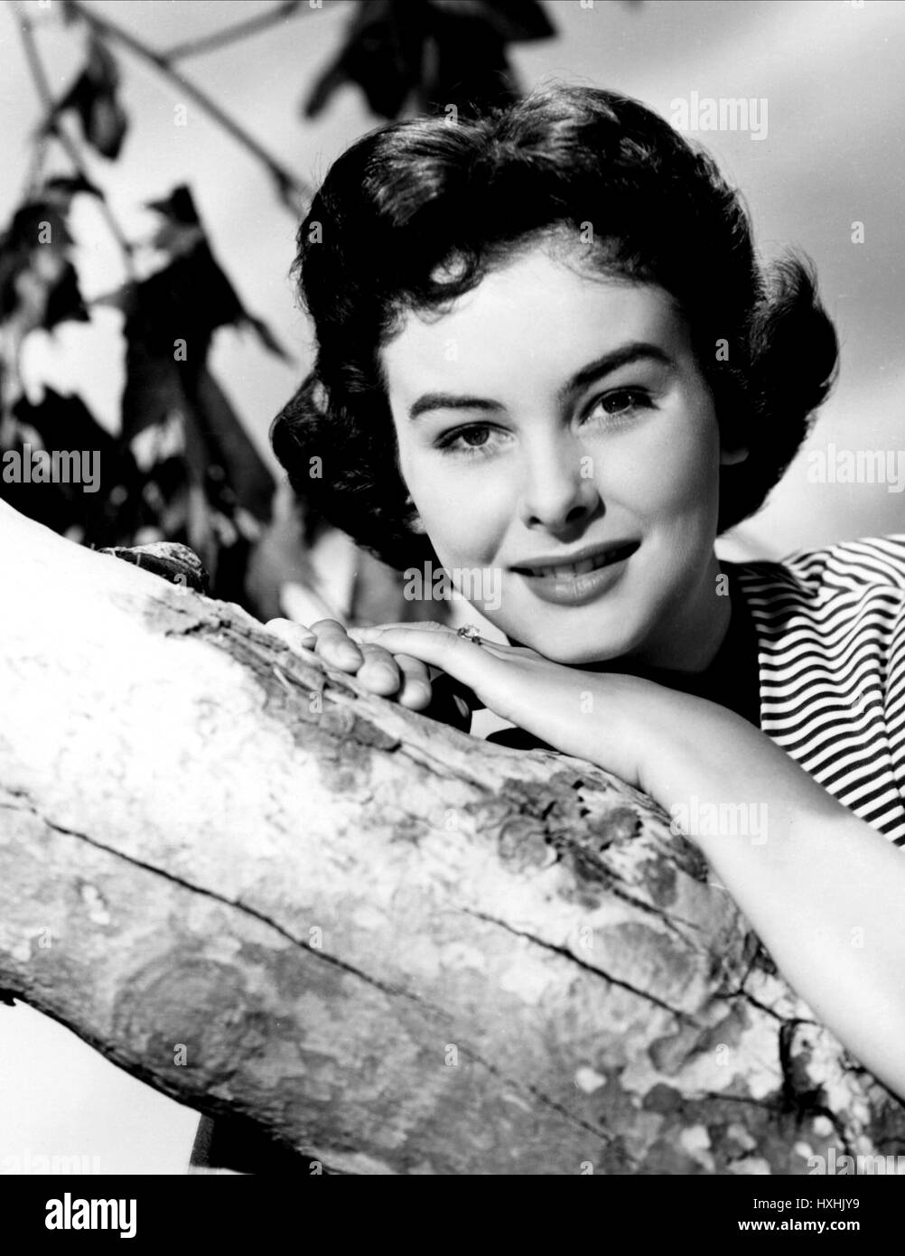 Nancy Meek High Resolution Stock Photography and Images - Alamy