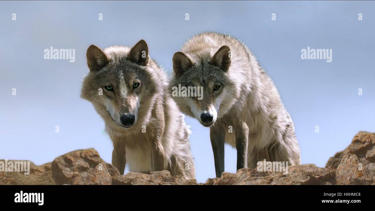 Jean Le Loup High Resolution Stock Photography and Images - Alamy