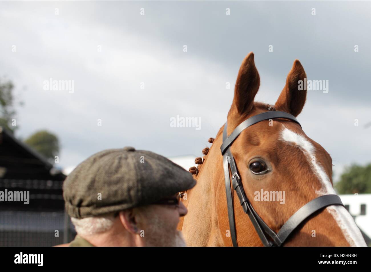 Vokes High Resolution Stock Photography and Images - Alamy