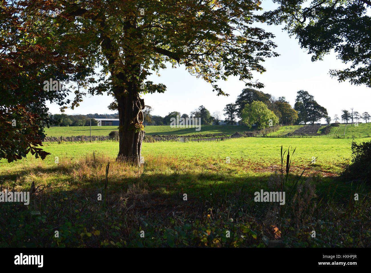 Stunning landscape of wales hi-res stock photography and images - Alamy