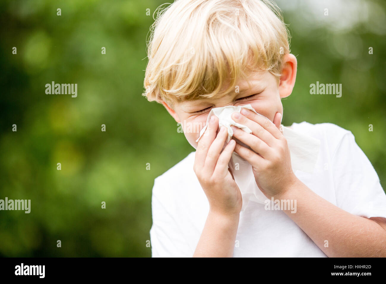Child with a cold sneezing and holding tissue on his nose Stock Photo ...
