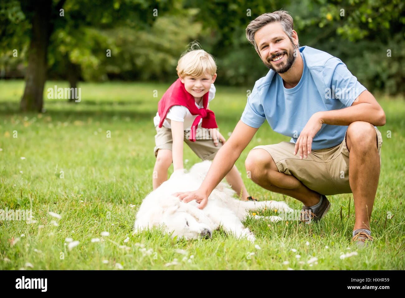 Boy and father as family with dog playing together in summer Stock ...