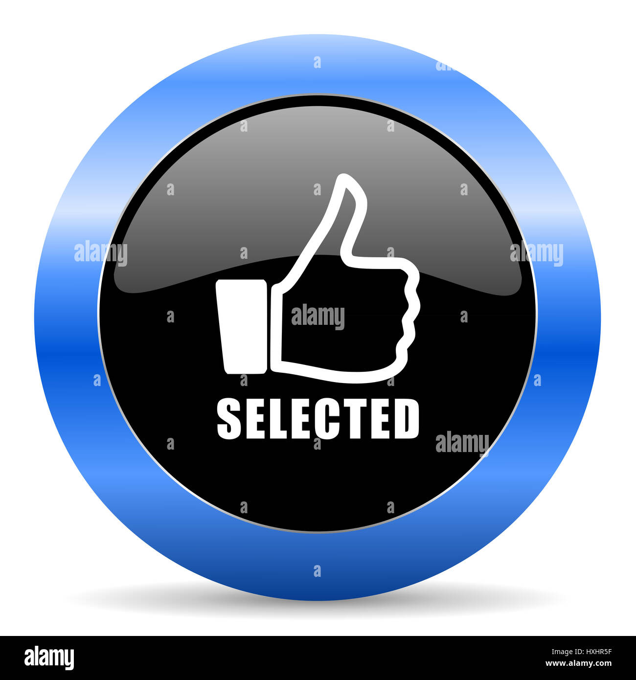 Selected black and blue web design round internet icon with shadow on ...