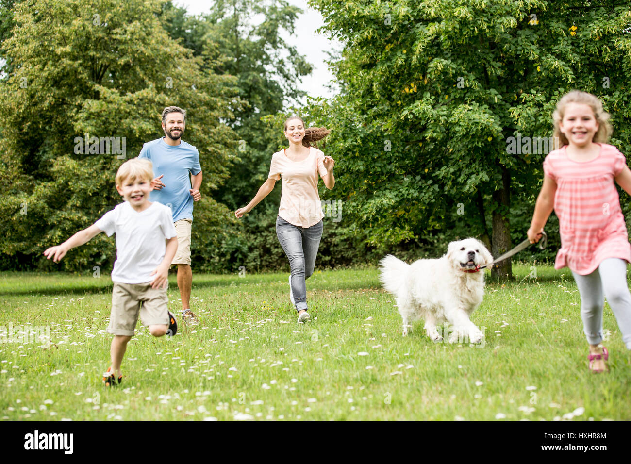 Children walking the dog and having fun while running Stock Photo - Alamy