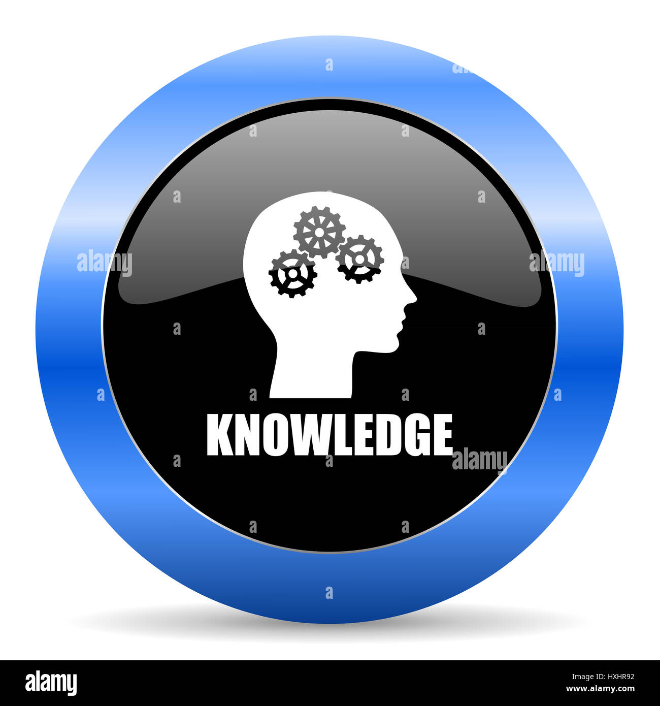 Knowledge black and blue web design round internet icon with shadow on ...