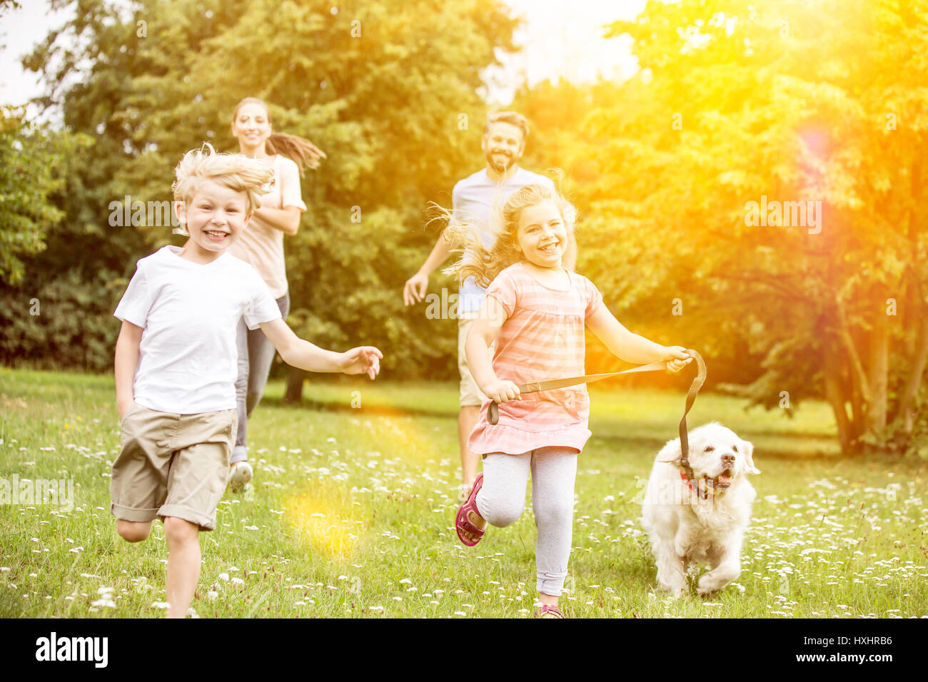 Family dog walk hi-res stock photography and images - Alamy