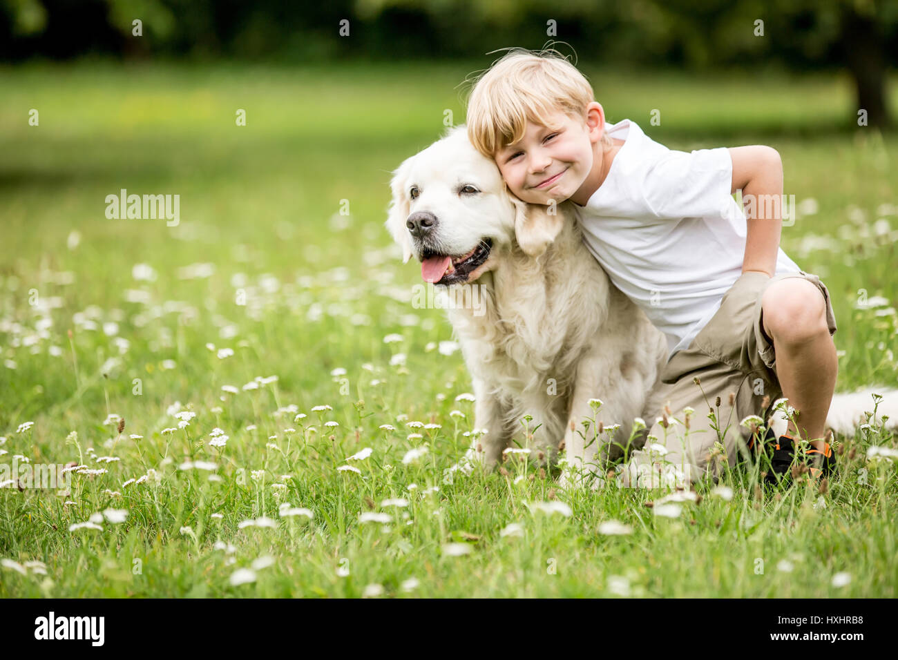 Happy boy and dog together as friends as love of animals concept Stock ...