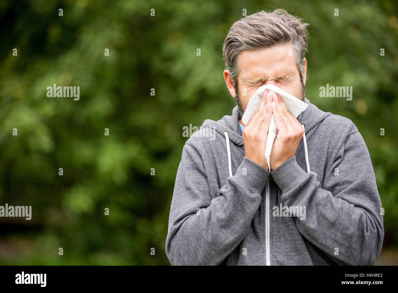 Man with cold or hay fever sneezing using tissue to clean nose Stock ...