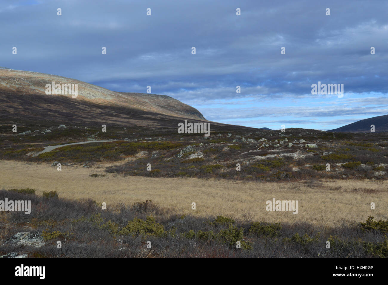 Autumn scenery from Jotunheimen in Norway, with a glimmer of sunshine ...