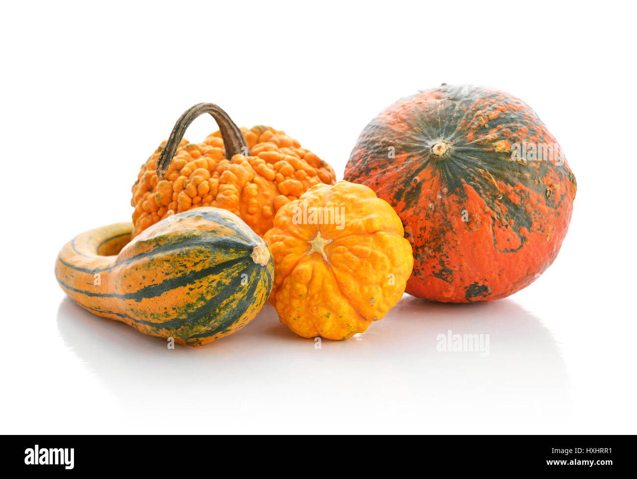 Mini pumpkins isolated on a white background with reflection Stock ...