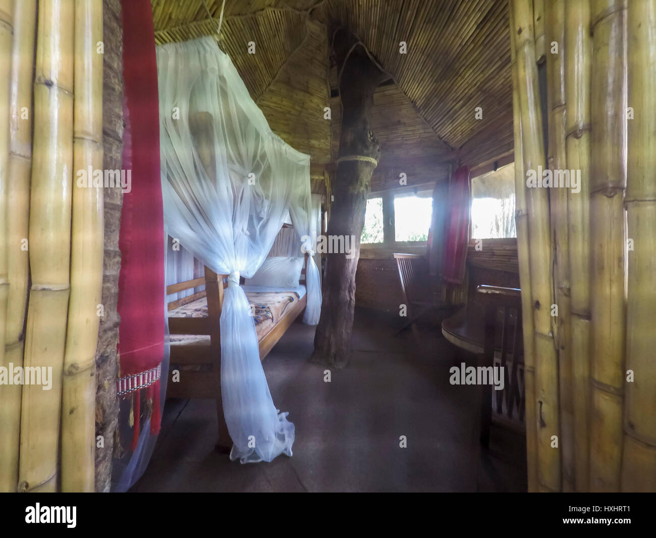 Room inside observation treehouse inside Kibale National Park, Uganda ...