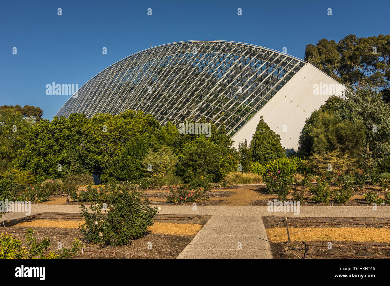 Adelaide Botanical Gardens is a large public park located in the north ...