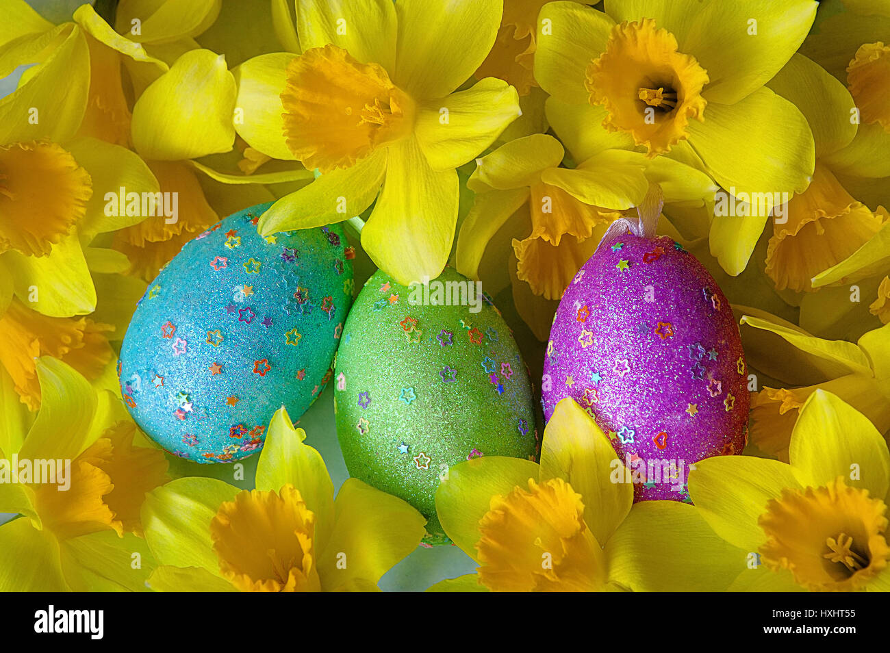 Easter eggs and yellow daffodil flowers on White Background Stock Photo - Alamy