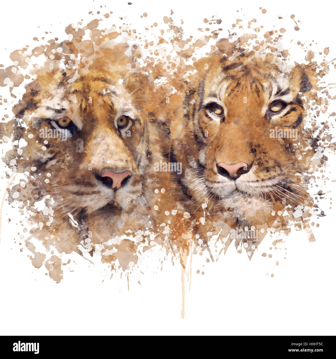 Digital Painting of Two Tigers Heads Stock Photo - Alamy