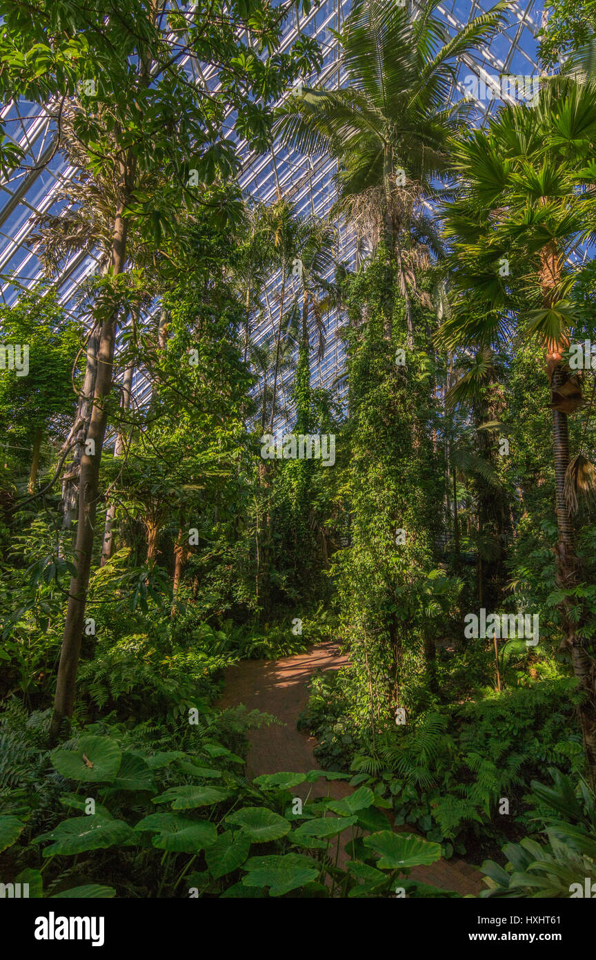 Adelaide Botanical Gardens is a large public park located in the north ...