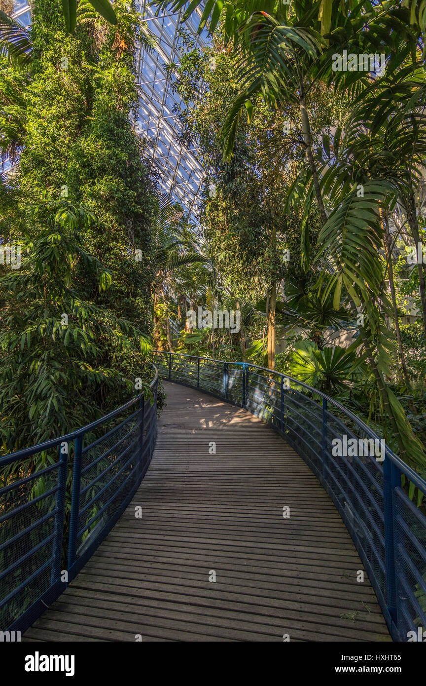Garden path flowers australia hi-res stock photography and images - Alamy