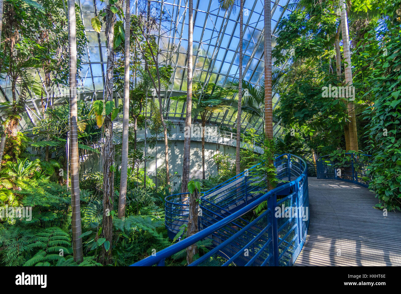 Adelaide Botanical Gardens is a large public park located in the north ...