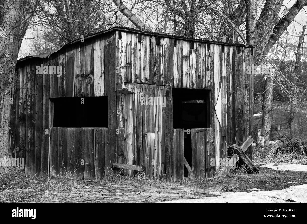 Fawn in Snow Stock Photo - Alamy
