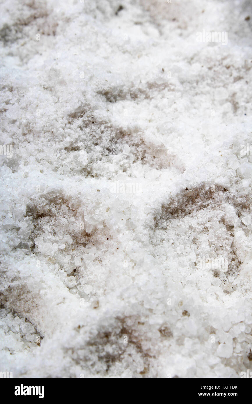 salt crystals as background Stock Photo - Alamy