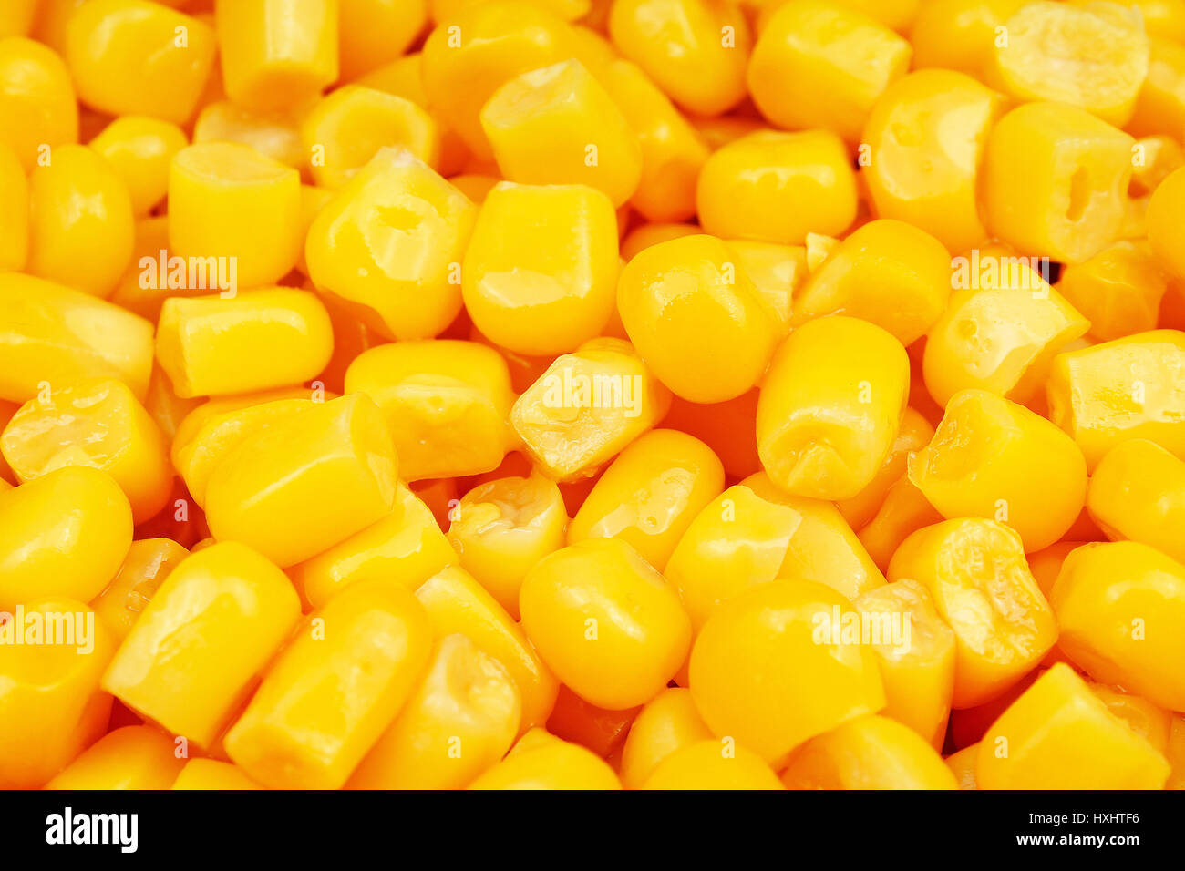 Corn texture. Yellow corns as background. Corn vegetable pattern ...