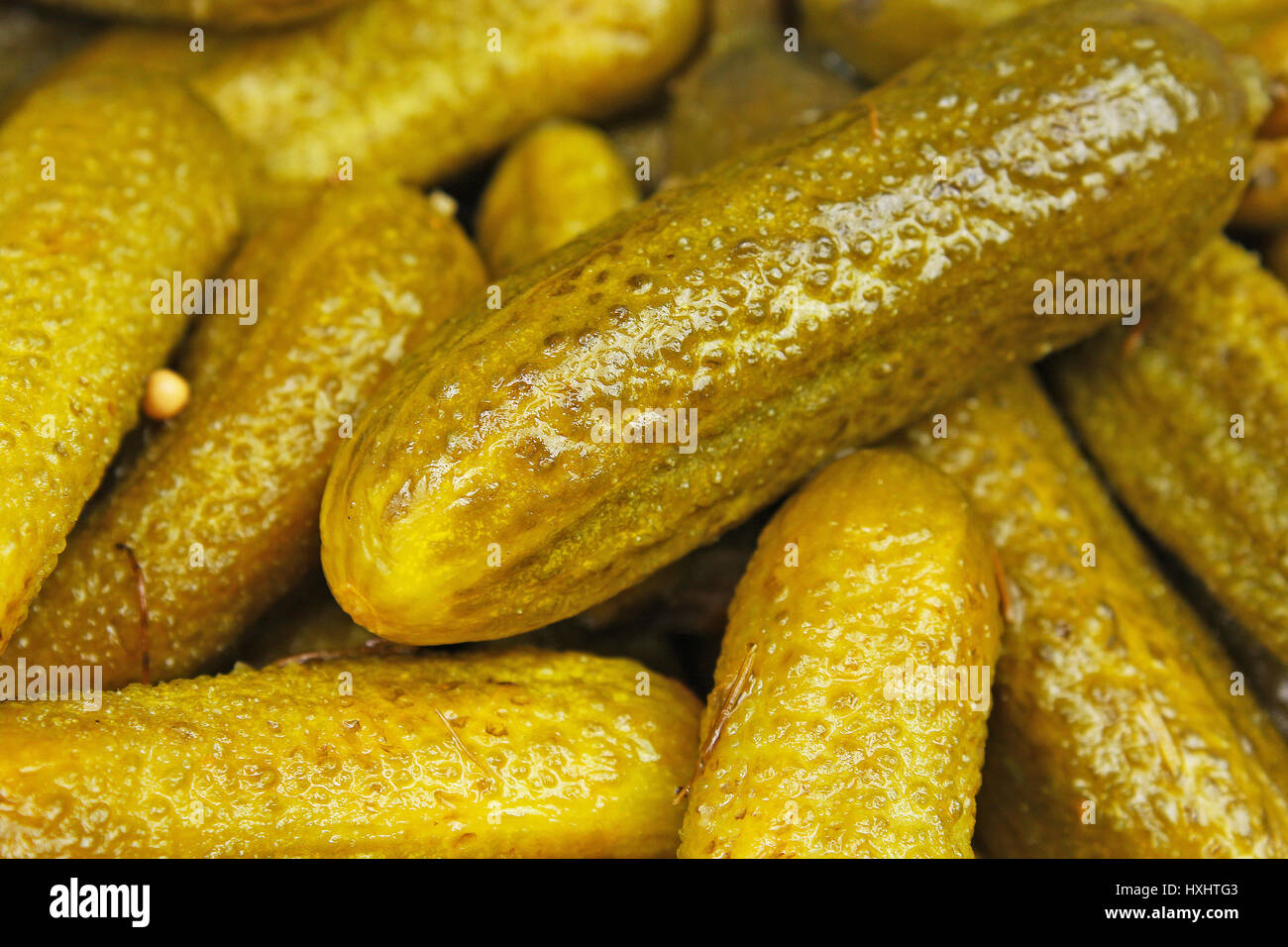 Pickles as background. Green pickle texture pattern. pickled cucumber ...