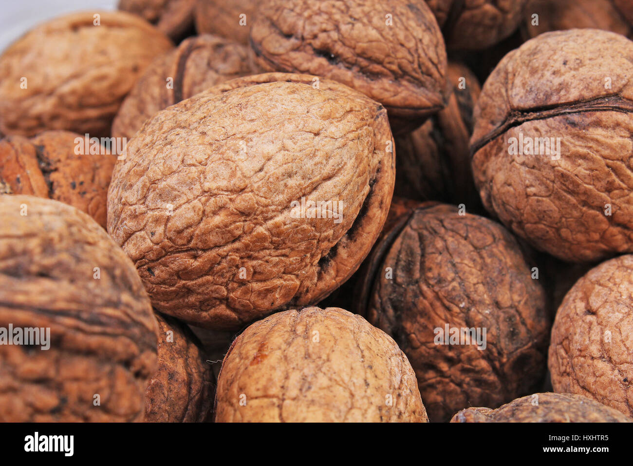 Walnut texture. Brown big walnuts as background. walnut nuts pattern ...