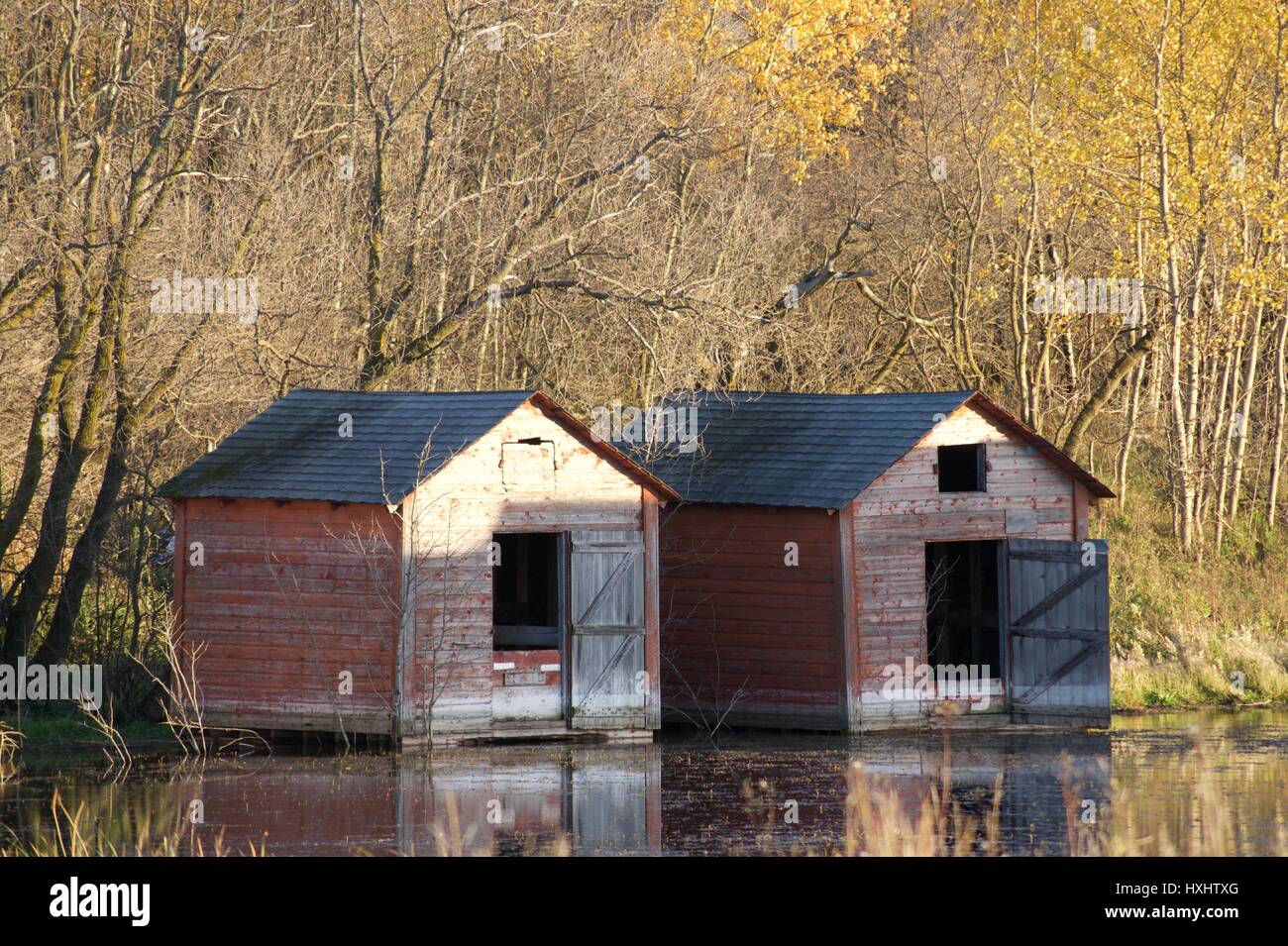 Seed Barns High Resolution Stock Photography and Images - Alamy