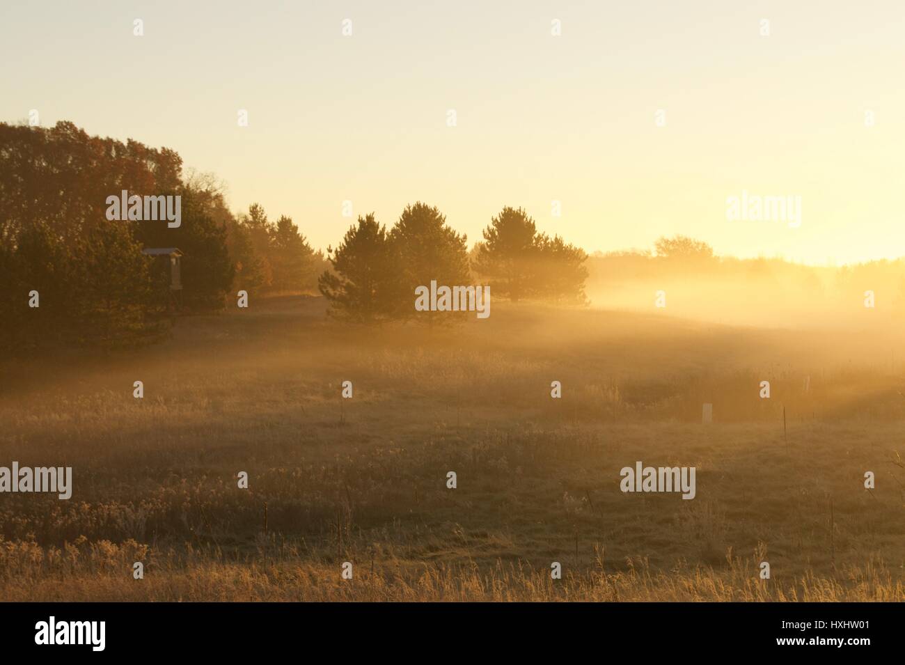 Stand at dawn hi-res stock photography and images - Alamy