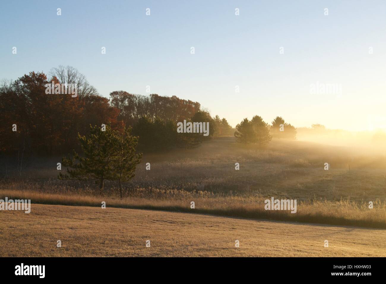 Stand at dawn hi-res stock photography and images - Alamy