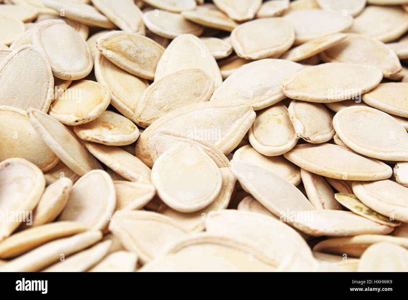 Pumpkin seed texture. Pumpkin seeds pattern as background Stock Photo ...