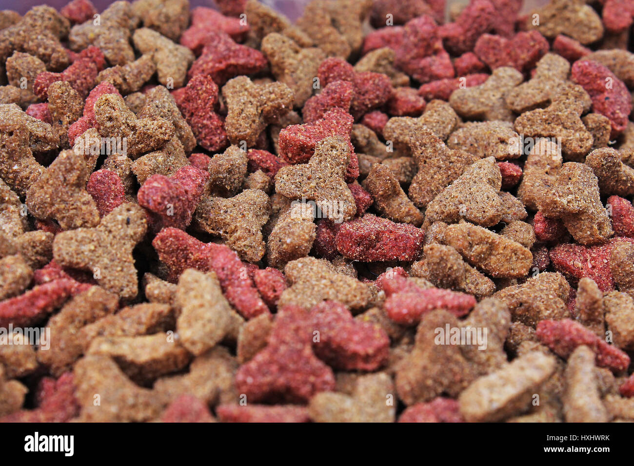 Cat food, granule, as background. Cat food texture pattern. Dry pet ...